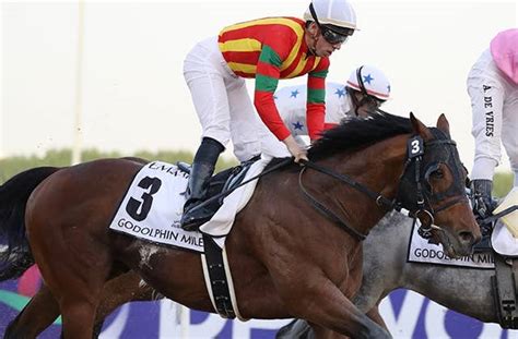 ゴドルフィンマイル3着のカズペトシーンが競走馬登録抹消で乗馬へ ドバイで骨折の診断 Jra Van World 海外競馬情報サイト