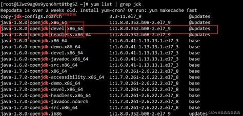 Linux基础命令和程序部署