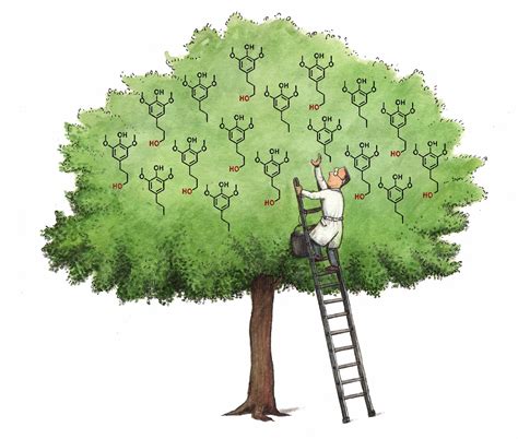 How The Lignin First Biorefinery Strategy Unfolded