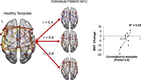 Applications Of Resting State Functional Mr Imaging To Epilepsy