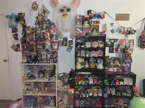 My Whole Collection Rfurby