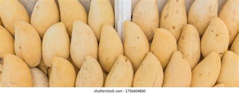 164 Sigmoid Shape 이미지 스톡 사진 및 벡터 Shutterstock