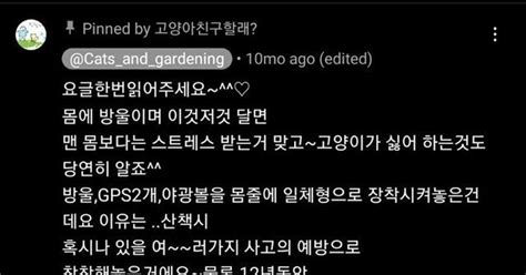 영하 17도에도 산책가자고 주인말 안 듣는 고양이의 최후