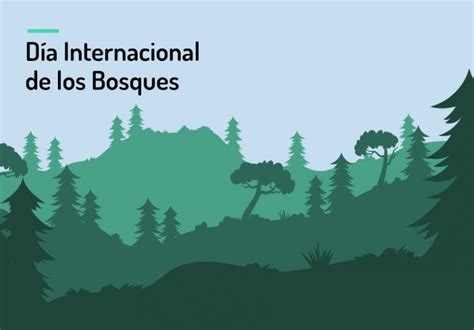 El Uso De Papel Sostenible FSC Y PEFC Garantiza La Salud Y El Futuro De Los Bosques