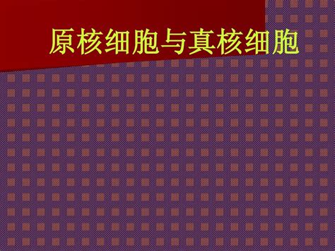 原核细胞与真核细胞 Word文档在线阅读与下载 无忧文档