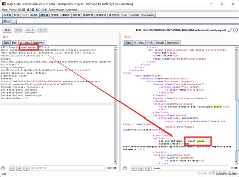 【burpsuite安全练兵场 客户端11】跨站点脚本xss 20个实验（上）burpsuite Xss攻击实现 Csdn博客