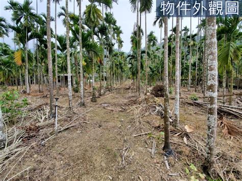 屏科大臨沿山公路面寬方正漂亮農地 屏東縣萬巒鄉牛角灣段房屋 Yc0221994 永慶不動產