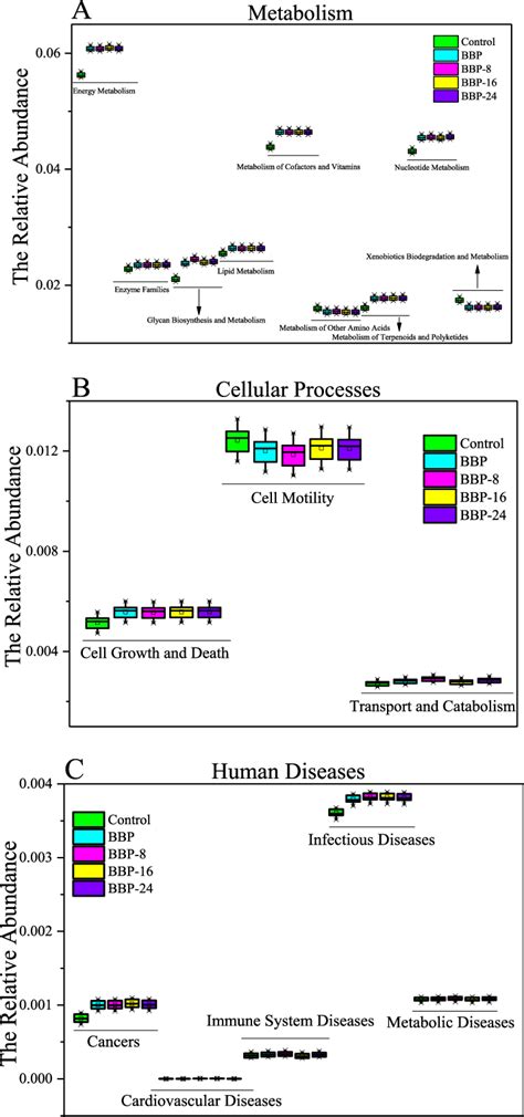 Inferred Gut Microbiome Functions By Picrust From 16s Rrna Gene Download Scientific Diagram