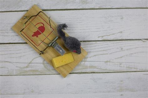 Premium Photo Toy Mouse Near A Triangular Piece Of Cheese In A