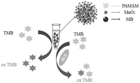 Hydrogen Sulfide Detection Method Based On Colorimetric Analysis And Application Eureka Patsnap