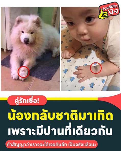 โปรดีรีวิวปัง โปรดีรีวิวปัง Added A New Photo