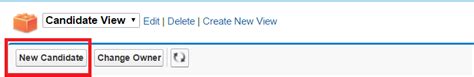 How To Override And Add Visualforce Page To The Button Salesforce