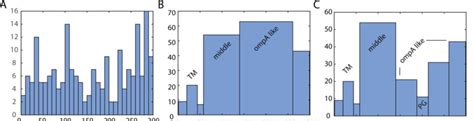 Histogram Of Mutant Frequency Histograms Of Mutations From Ep Pcr Download Scientific Diagram