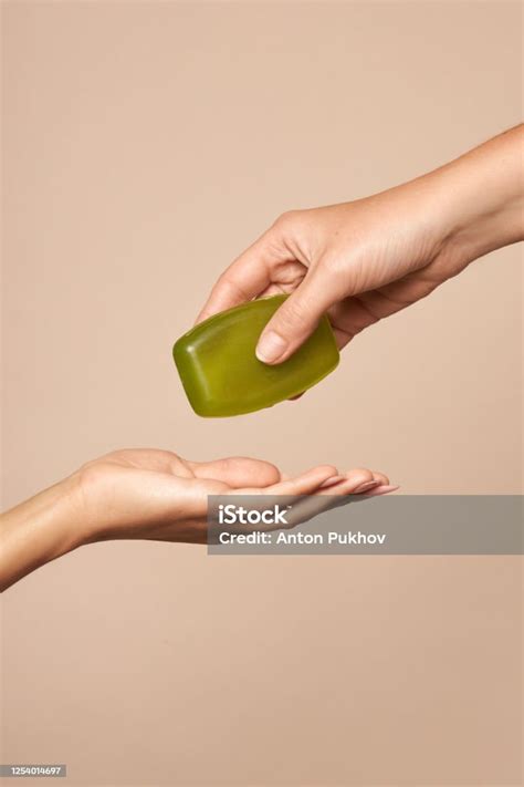위생 여성의 손은 베이지 색 배경에 비누를 전달합니다 바이러스 및 세균 감염의 예방을위한 매일 위생 가축에 대한 스톡 사진 및 기타 이미지 Istock