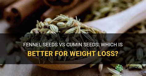 Fennel Seeds Vs Cumin Seeds Which Is Better For Weight Loss Shuncy