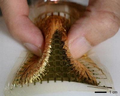 Graphene Based Sensors Could Enable Quick And Simple Breast Cancer Detection Graphene Info