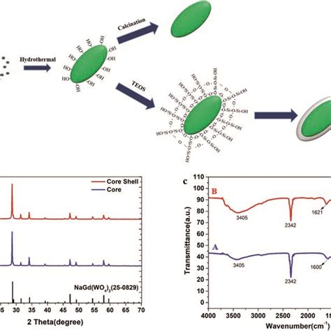 Characterizations For The Core Ngwyb³⁺er³⁺ And The Coreshell Download Scientific Diagram