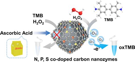 N P S Codoped Carbon Nanozymes With Enhanced Peroxidase Like Activity And Binding Affinity For