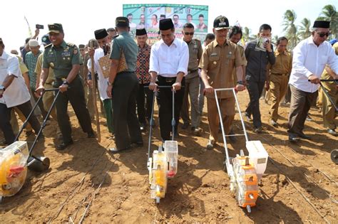 Gandeng PBNU Mentan Tanam Perdana Jagung Serentak Di Seluruh Indonesia
