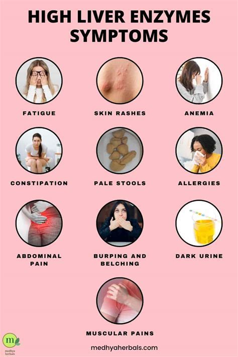 Can Dog Dental Disease Raise Alt Levels