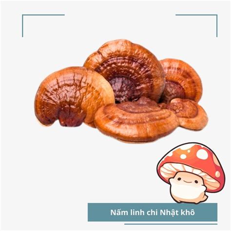 Nấm linh chi Nhật khô C Farm