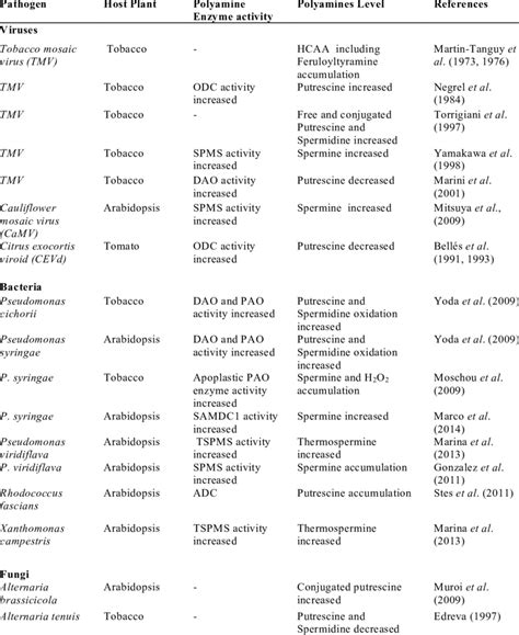 Different Types Of Plant Pathogen Interactions And Their Effects On