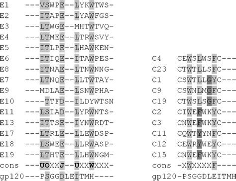 Alignment Of The Peptides From The Phage Clones Showing The Highest