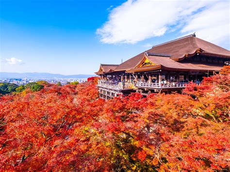 「紅葉を見に行きたい」と思う都道府県ランキング！ 2位「栃木県」、1位は？22 All About ニュース