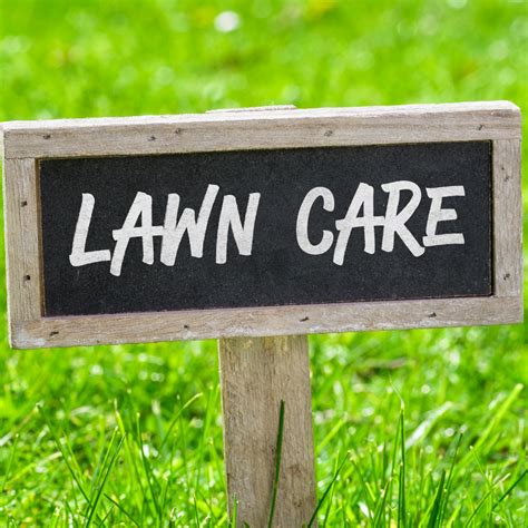 Lawn Care Green With Envy Rooted In