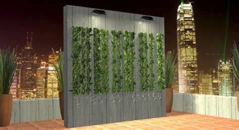 Forget Lawns Go For Creative Grass