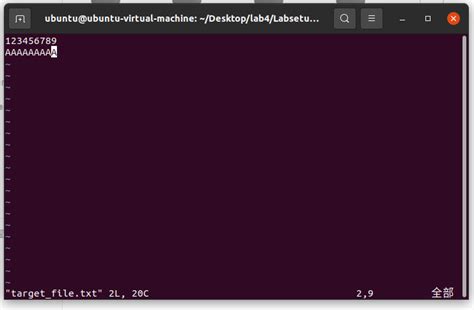 Seed Lab Buffer Overflow Attack Lab Server Versionseedlab缓冲区溢出实验 Csdn博客