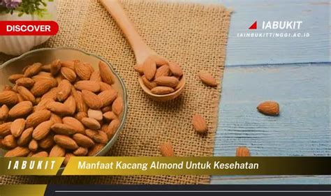 Bikin Penasaran Ketahui 7 Manfaat Kacang Almond Untuk Kesehatan Yang