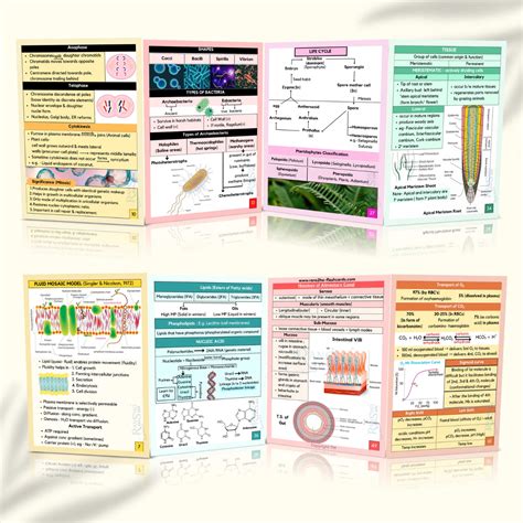 Biology Class 11th Best Short Notes Flashcards Ransho Revision