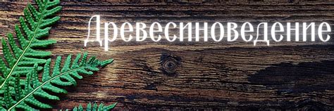Древесиноведение | Дерево — растение с одревесневшим стволом, известно ...