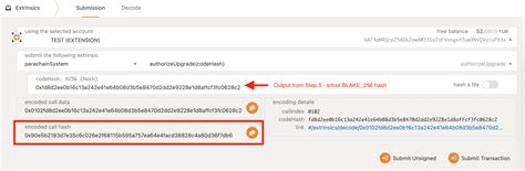 Verify Runtime Of Upgrade Ava Protocol Docs