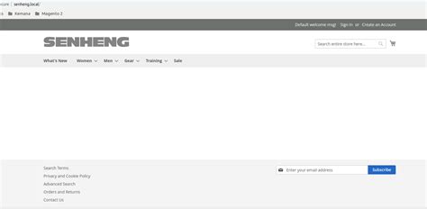 Magento2 Page Styling Css Does Not Appear In The New Theme