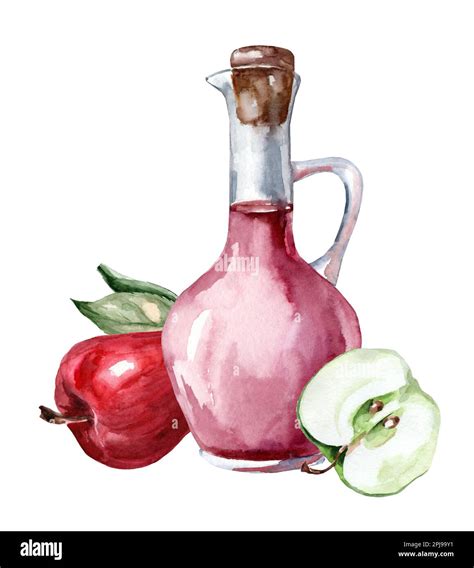 Jar Of Apple Cider Vinegar Watercolor Hand Drawn Illustration Isolated