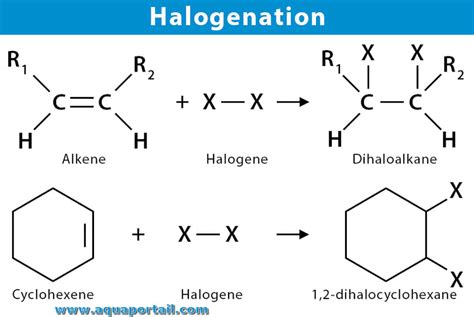Halogénation Définition Illustrée Et Explications