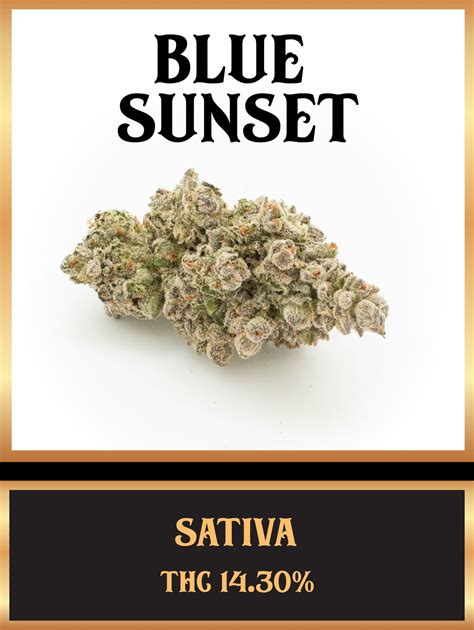 Blue Sunset Strain Wonderland Bangkok