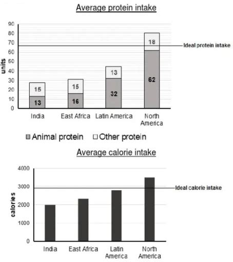 Band 9 The Charts Below Show The Protein And Calorie Intake Of People