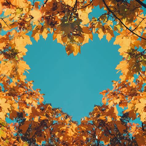 ️ 147 Fall Puns That Will Leaf You Smiling All Season Long