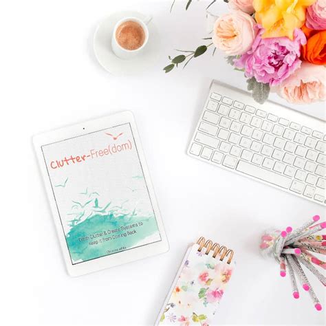 clutter free dom video series 2 the mostly simple life