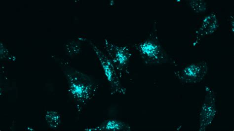 Latest • Baker Lab