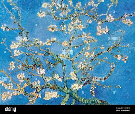 Van Gogh Almond Blossom