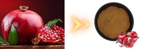 China Pomegranate Peel Extract Powder Manufacturers Suppliers Factory