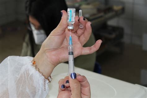 PREFEITURA DE PICOS Picos Se Prepara Para Receber Vacinas Contra A Covid Da Pfizer