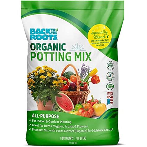Indoor Essentials The Best Potting Soil For Indoor Plants