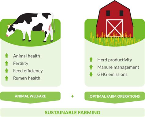 Working Together For Sustainable Dairy Farming Phileo By Lesaffre
