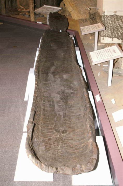 丸木舟 茨城県教育委員会