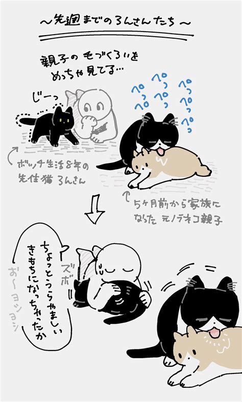 Akr On Twitter ろんさんの毛づくろいチャレンジはつづく 2iz0qzmgqm Twitter